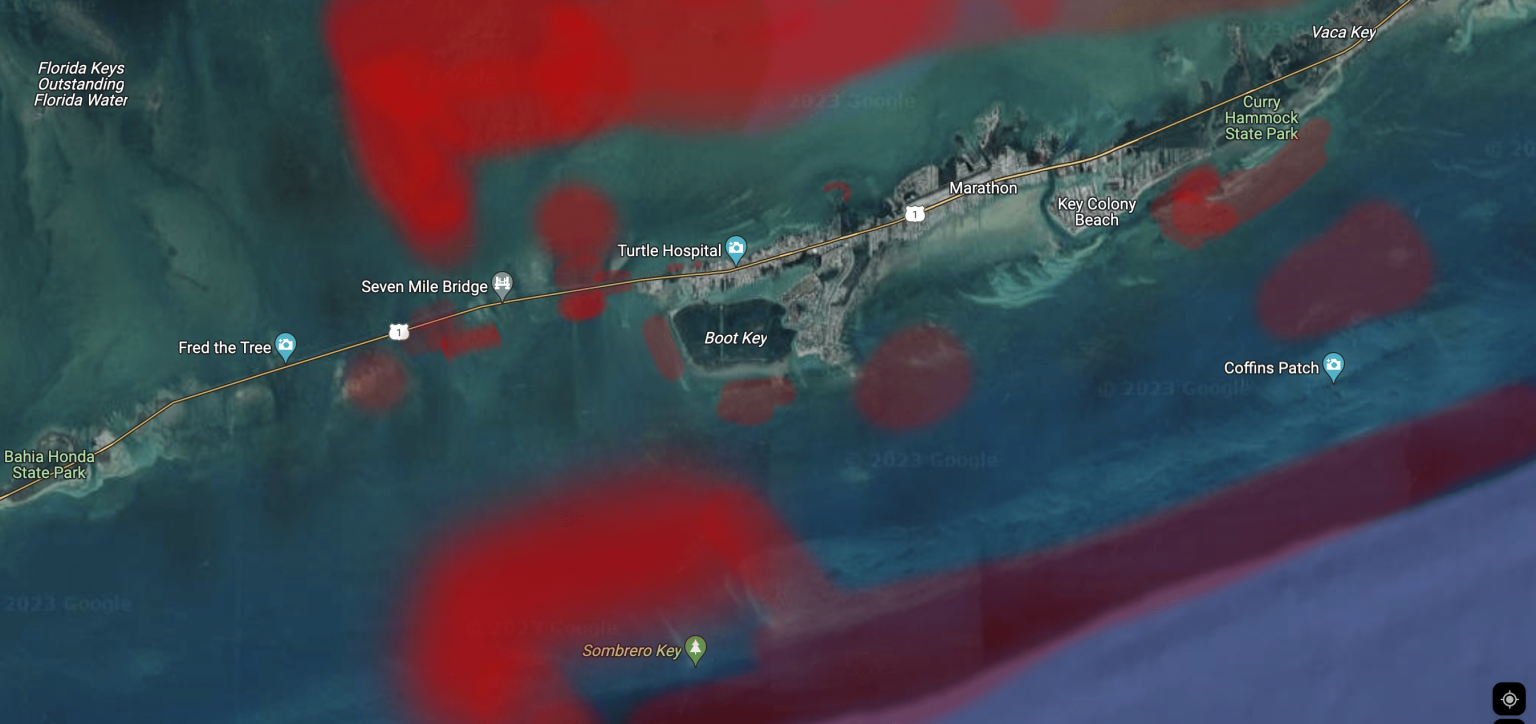 Marathon Fishing Spots| Keys Maritime Specialty Bait and Seafood